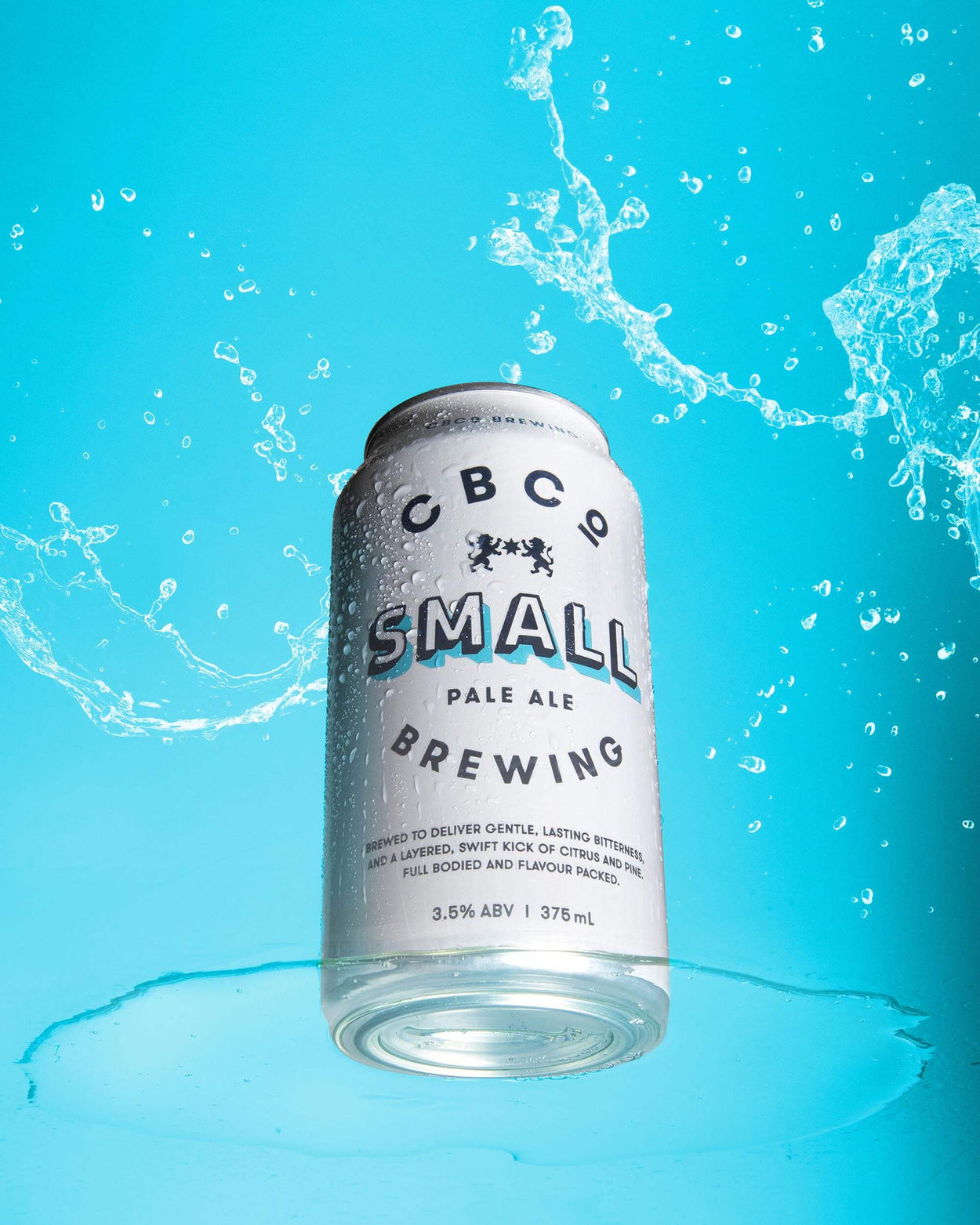 Brewing Process of Small Ale - CBCO Brewing – CBCo Brewing